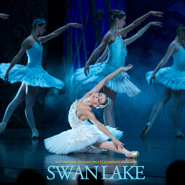 SWAN LAKE | Theatre Royal
